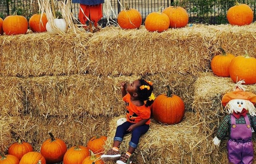 Another Great Halloween at Tracy Hills - Tracy Hills